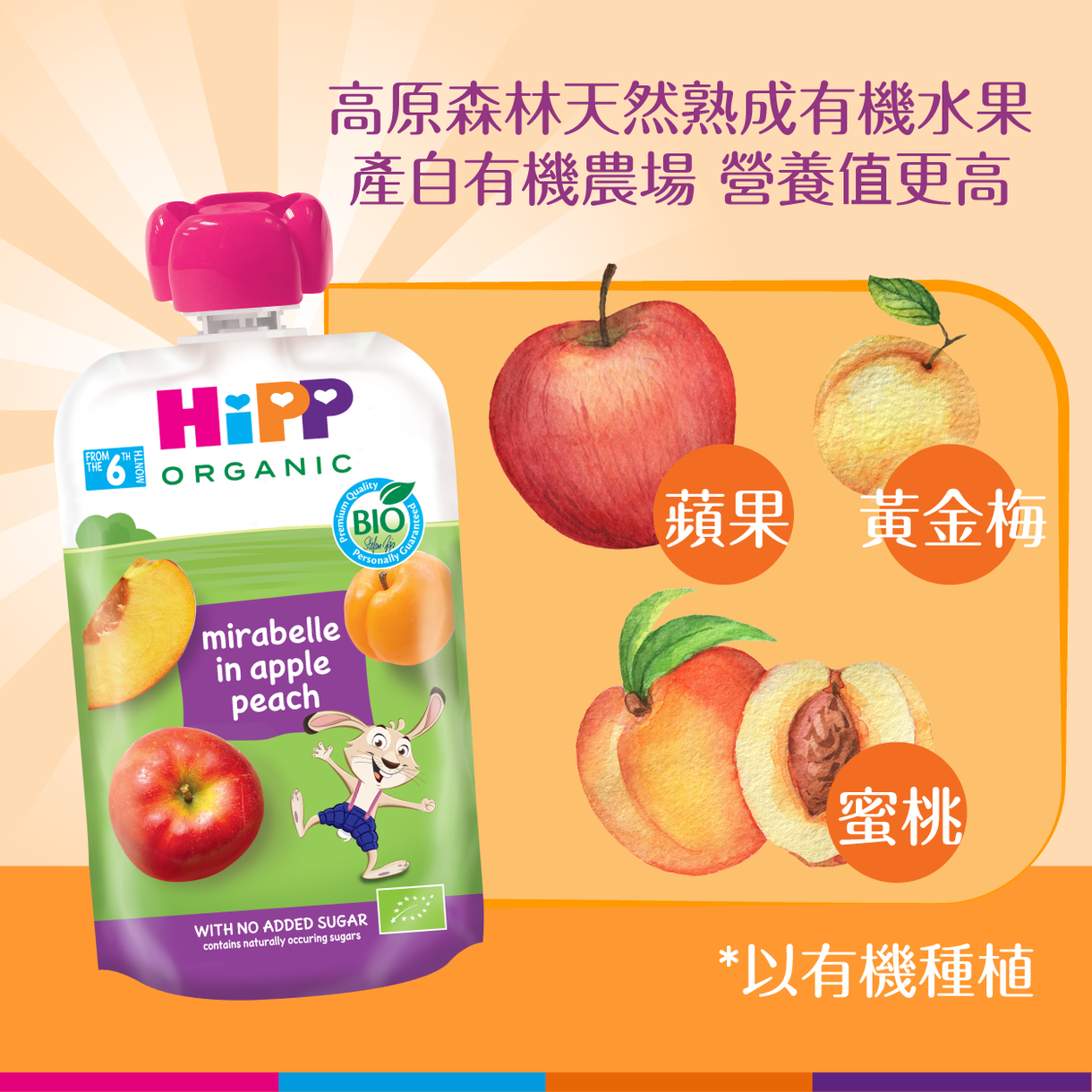 HiPP Organic Mirabelle in Apple Peach (100g) 6pcs – HiPP Official E-Shop